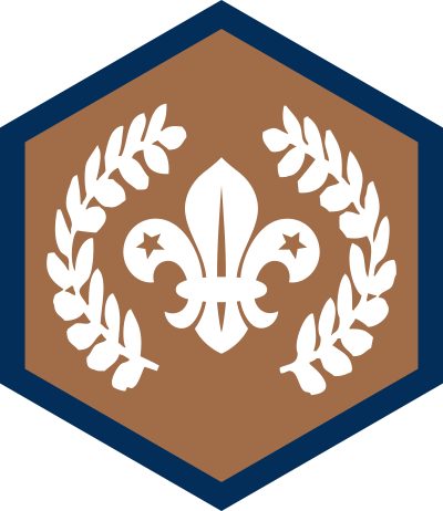 How To Earn A Chief Scout’s Award – 1st Holgate Scouts